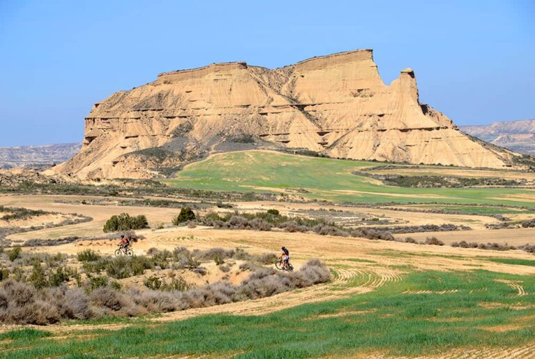 How Can We Prevent or Reverse Desertification? - Earth Needs Your Help