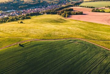 5 Ways You Can Help Stop Desertification - Earth Needs Your Help