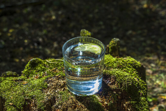 10 Ways to Reuse Water - Earth Needs Your Help