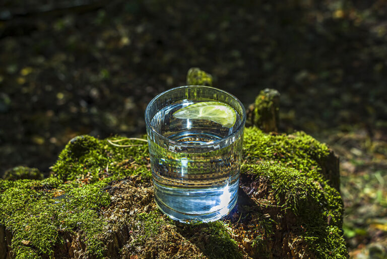 10 Ways to Reuse Water - Earth Needs Your Help