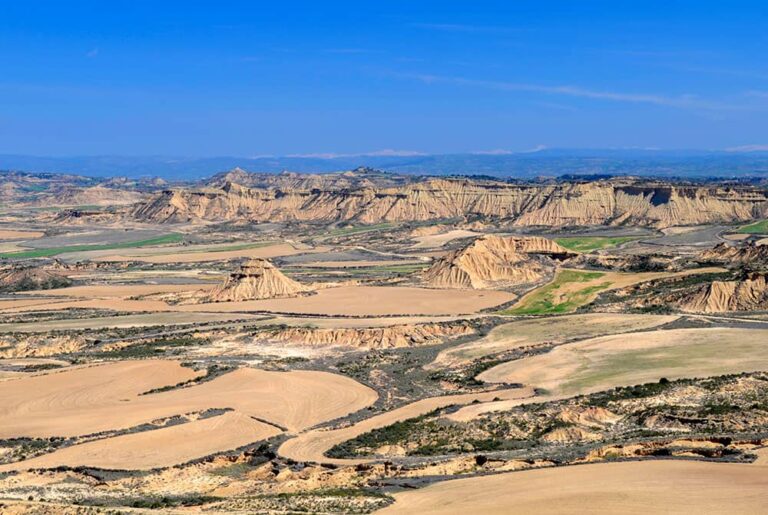 5 Ways You Can Help Stop Desertification - Earth Needs Your Help